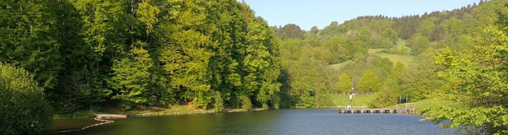 GUCKAISEE - Badesee & Erholungsort am Fuße der Wasserkuppe
